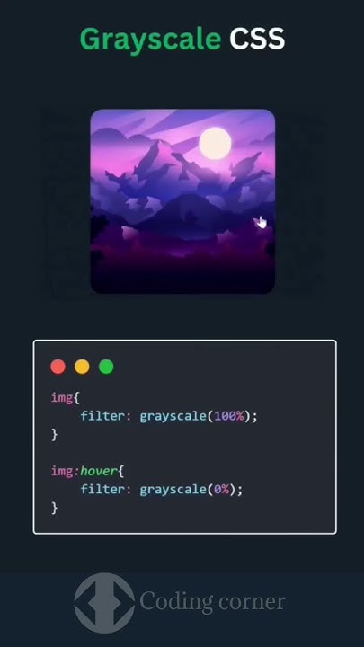 Grayscale CSS #important #coding #bca #bca #webdesign #htmlcss #html #css #shorts #viralshort ...