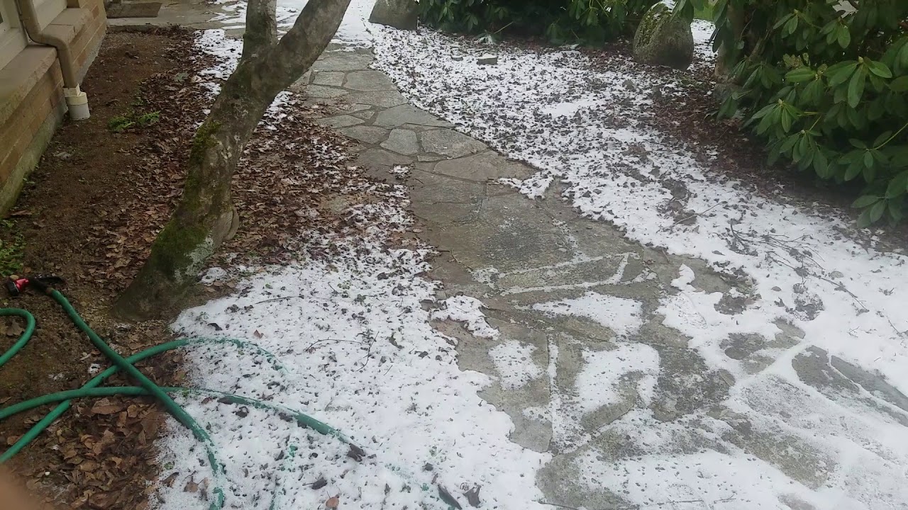 Using Alexa for a phone patch on Ham Radio - YouTube