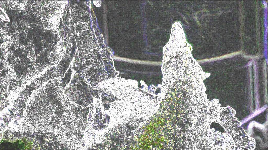 Protogenesis - YouTube