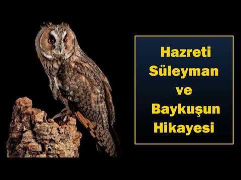 Hazreti Süleyman ve Baykuşun Hikayesi