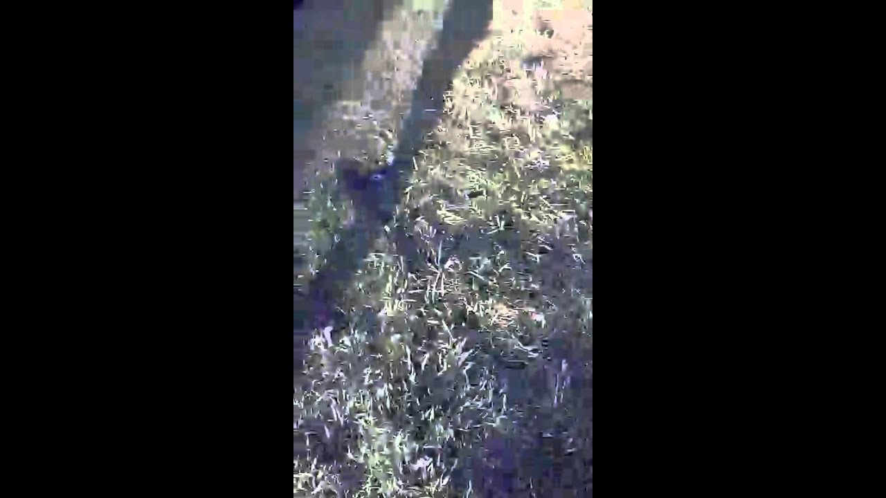 K B-) f2f bc gvvbbv - YouTube