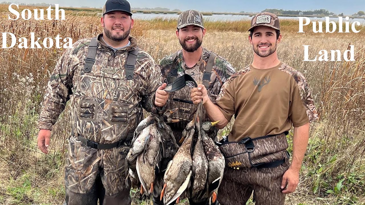 Public Land Duck Hunt! (South Dakota) - YouTube
