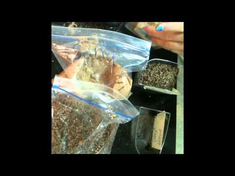 Water Retention Capacity Experiment - YouTube