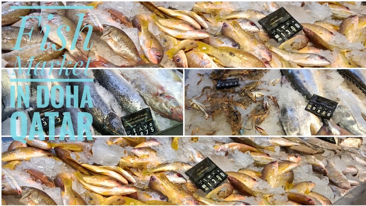 Cheap & Fresh Fish Market in Doha Qatar|Grand Mall Asian Town| #qatar # ...