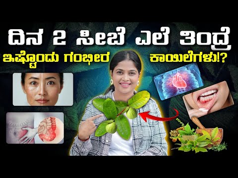 ದಿನ 2 ಸೀಬೆ ಎಲೆ ತಿಂದ್ರೆ  ಐದು ಗಂಭೀರ ಕಾಯಿಲೆಯನ್ನು ನಿರ್ಮೂಲನೆ |guava leaf health benefits | rajini updates
