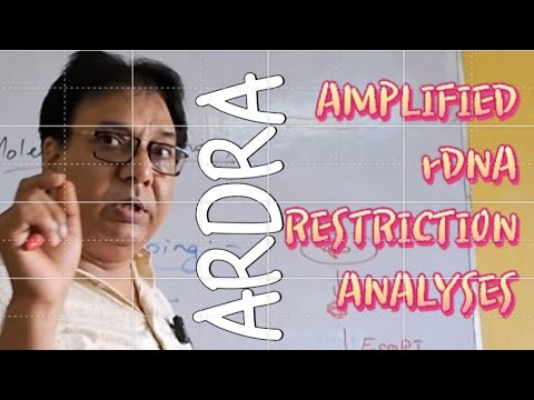 ARDRA a Technique of Bacterial Identification - YouTube