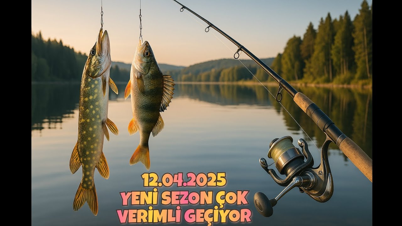 YENİ SEZON PERCH VE TURNA BALIK AVI,2025 KONYA ALTINAPA BARAJI... - YouTube