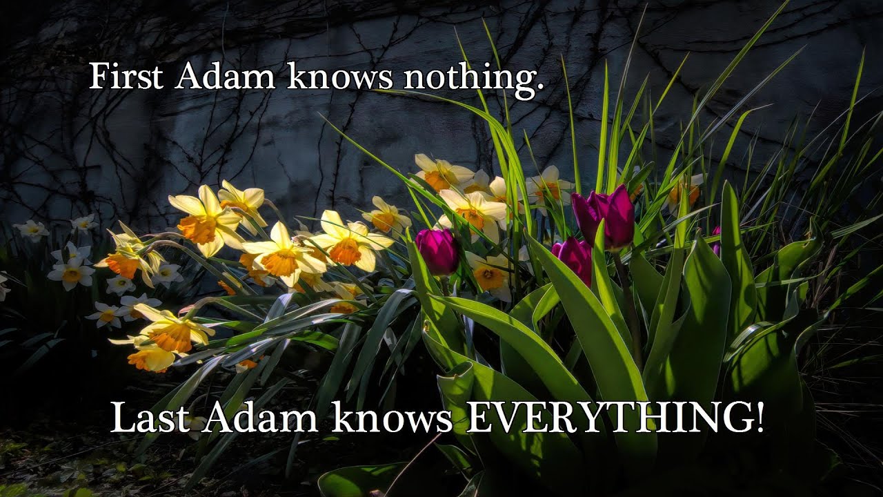 First Adam knows nothing. Last Adam knows EVERYTHING! - YouTube