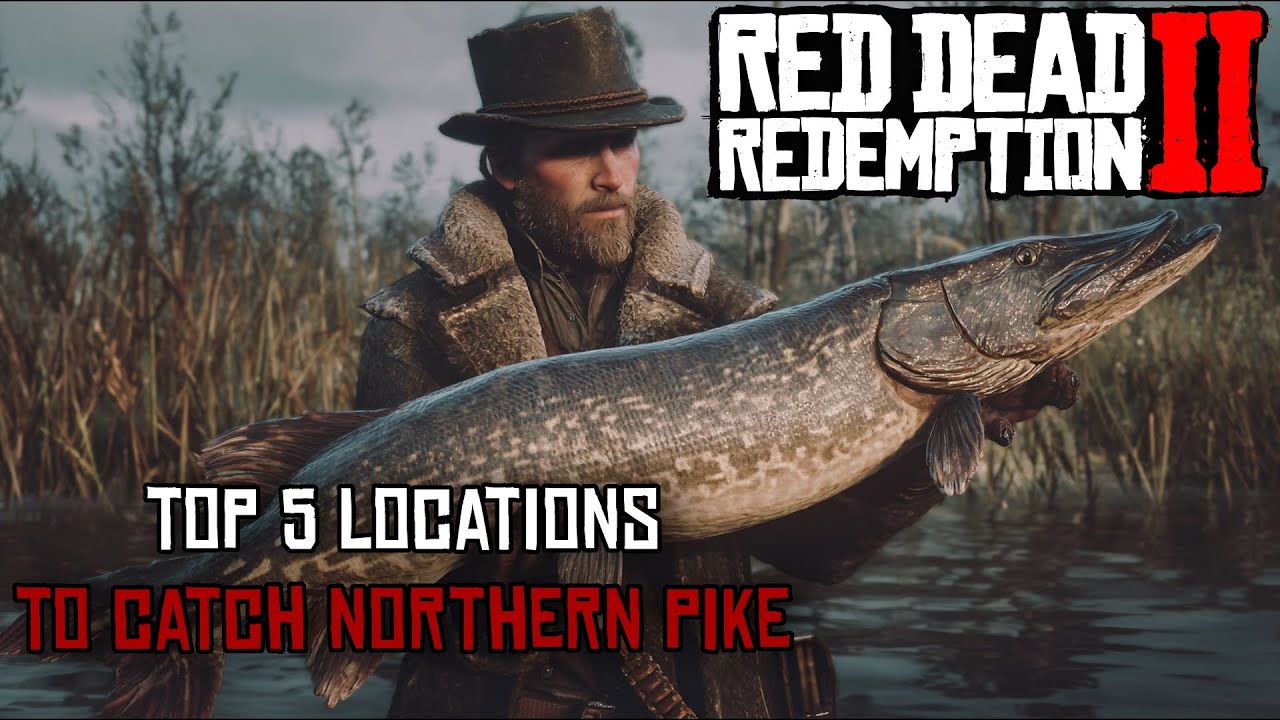 The Top 5 Locations to Catch Northern Pike In 2025! (Red Dead ...