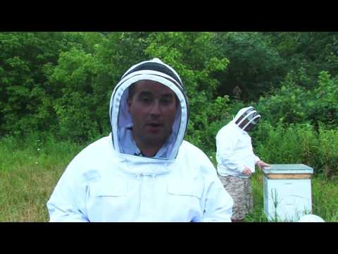 Tom Rader Feature Reel