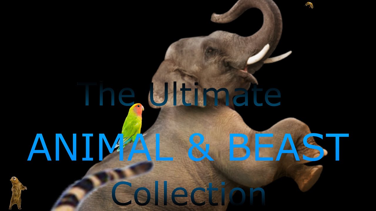 The Ultimate ANIMAL & BEAST Sound Collection!!! (FREE) - YouTube