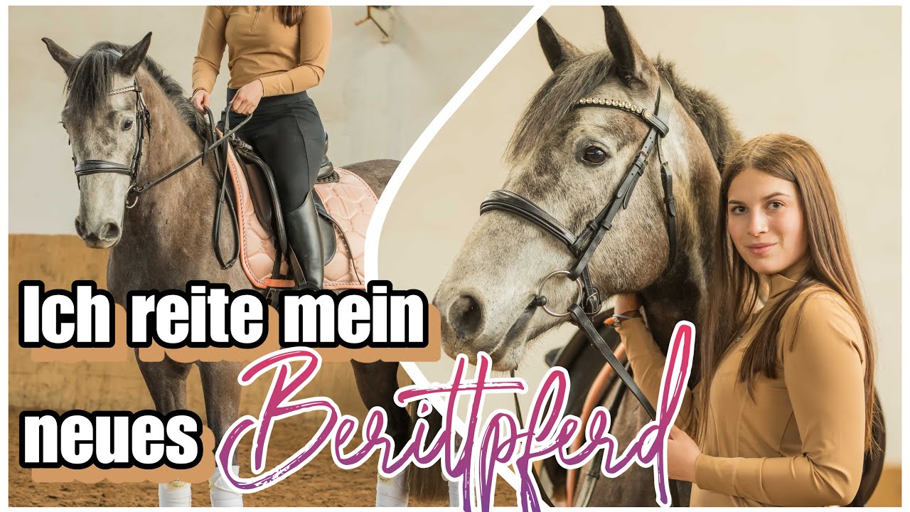 ICH REITE MEIN NEUES BERITTPFERD 🐴 ️ // ASKINO CONSAS - YouTube