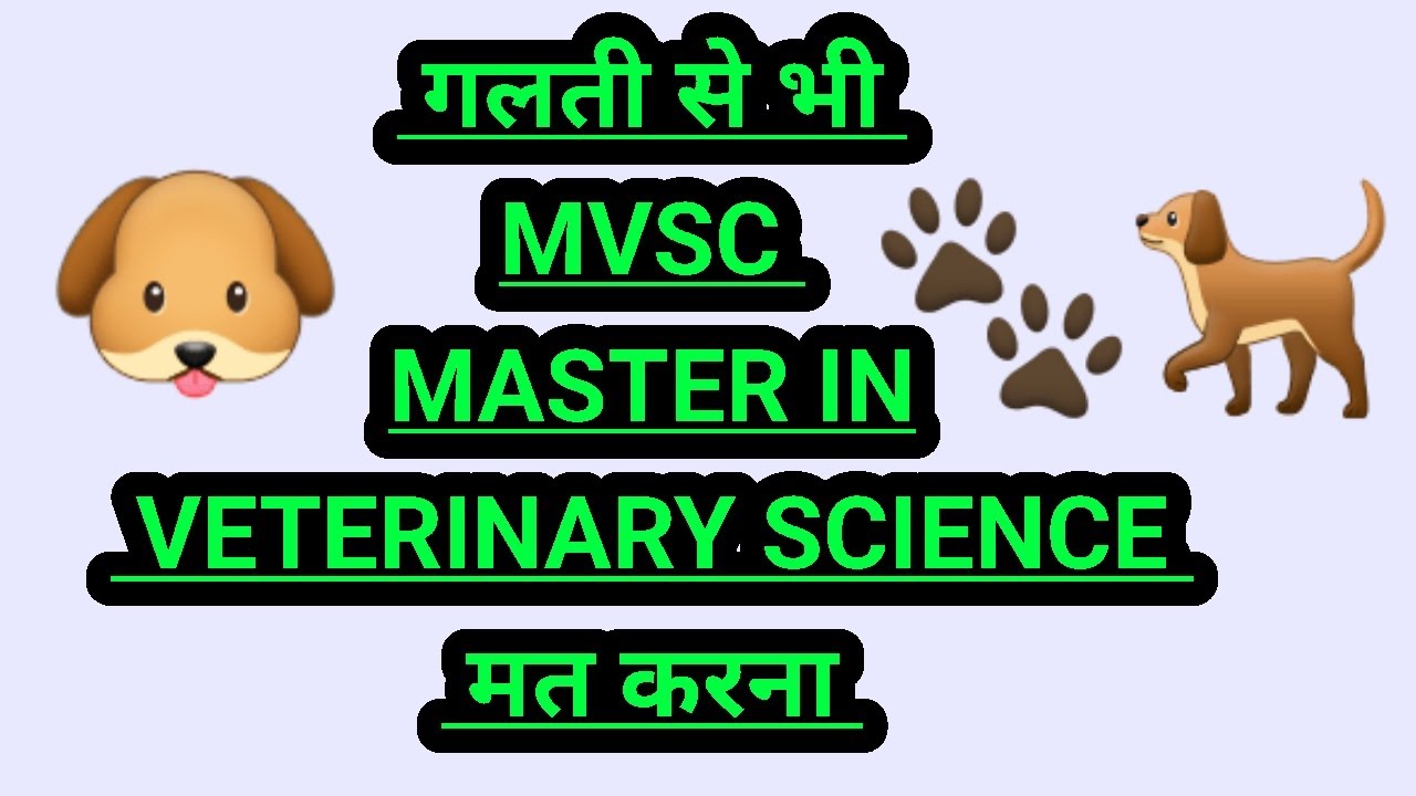 Must Watch Before Doing a Master Degree in Veterinary Science in India scope after veterinary ...