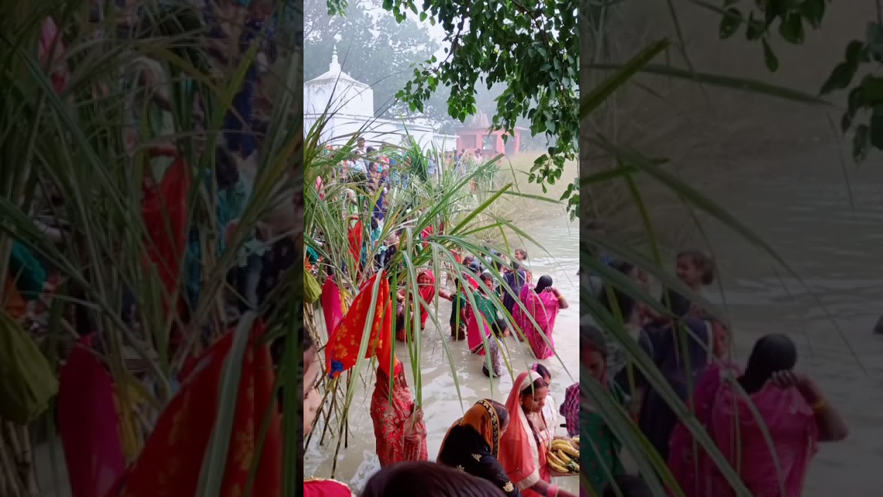 Chati maiya by Pawan singh - YouTube