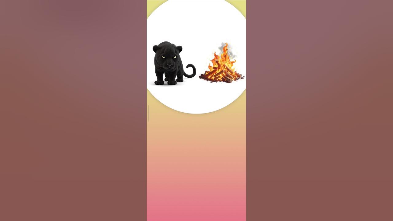 panther+api=? - YouTube