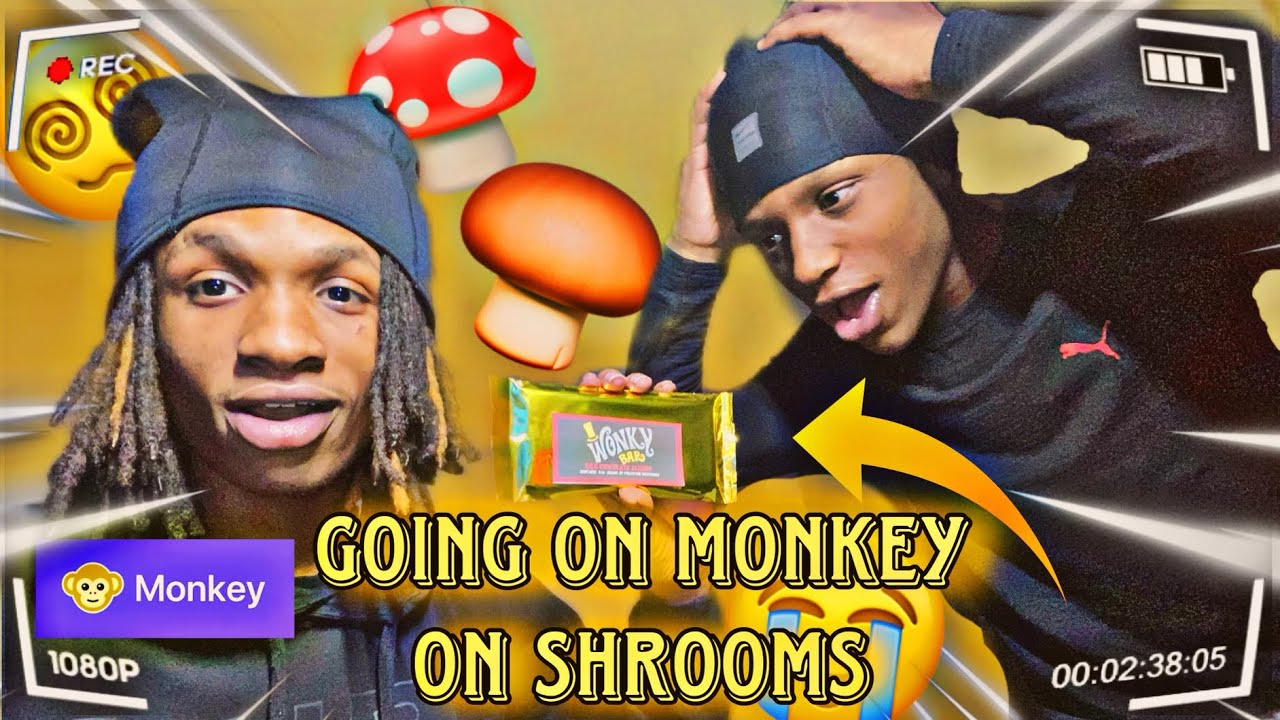 Going On Monkey on Shrooms - YouTube