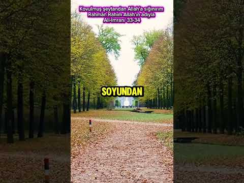 Âl-i İmran/ 33-34 | Kur’an Ayetleri | Her Gün Bir Ayet | Kısa ve yol gösterici #amin