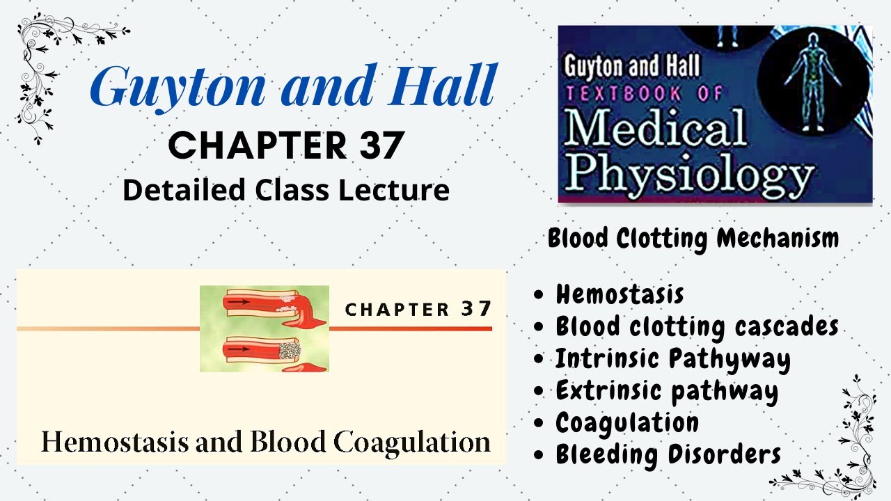 Guyton Chapter 37 | Hemostasis| Clotting factors | Coagulation ...