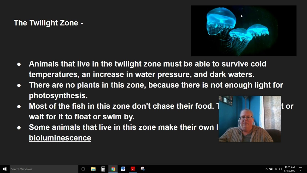 Intro to the Ocean - YouTube