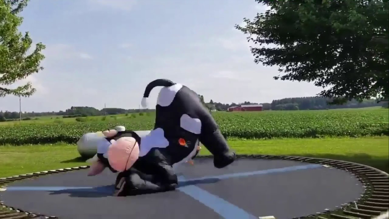 Trampoline Flip In Cow Costume - YouTube