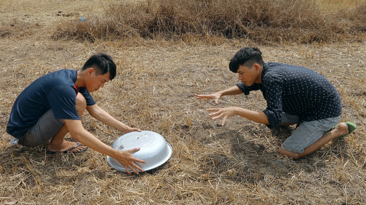 Troll ! Bắt Được Con Chim Quý Ngoài Ruộng – 1 Pha Troll Thốn Nhất Năm ...