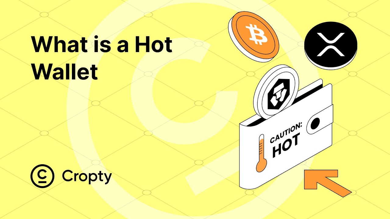 Types of Hot Wallets - YouTube