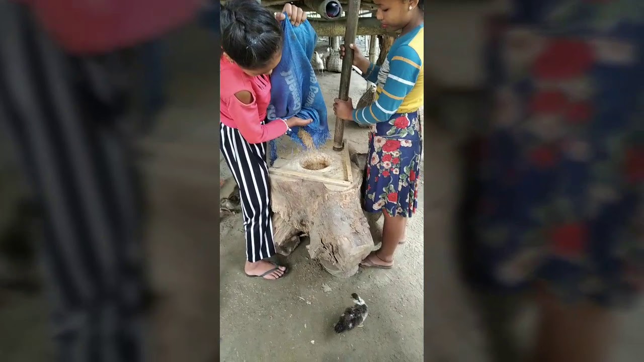 Traditional Rice Mill - YouTube