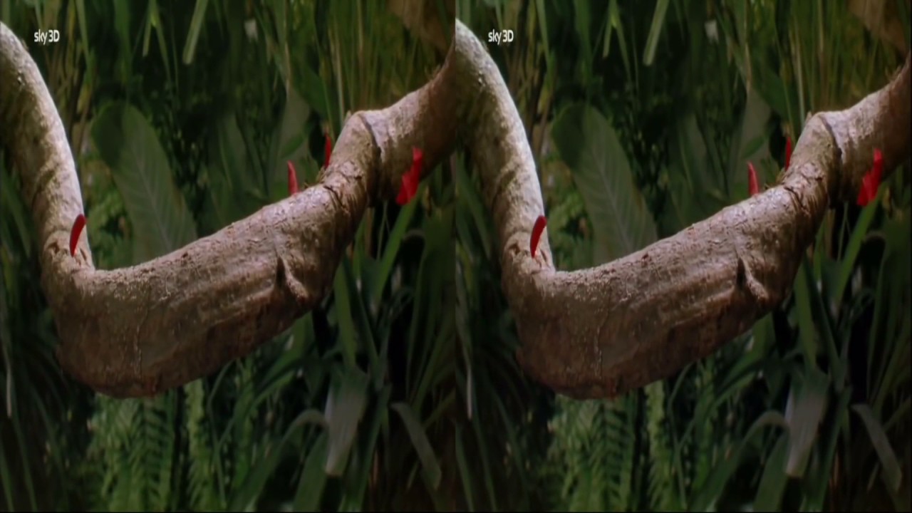 Rainforest Adventure SBS 3D Virtual Reality Experience VR Video 2016 ...