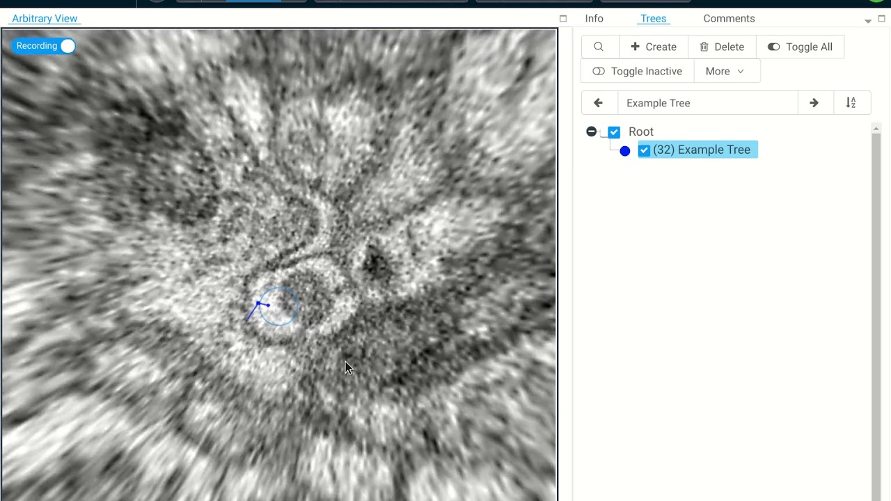 webKnossos: Using Flight Mode for Skeletons Annotation - YouTube