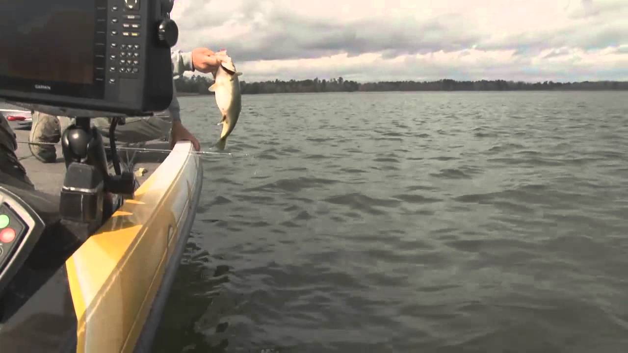 Bass fishing using waypoints - YouTube