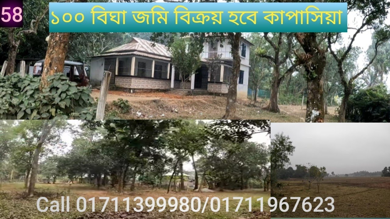 Land for sale | House sale | jomi Bikri | জমি বিক্রয় | ১০০ বিঘা জমি ...