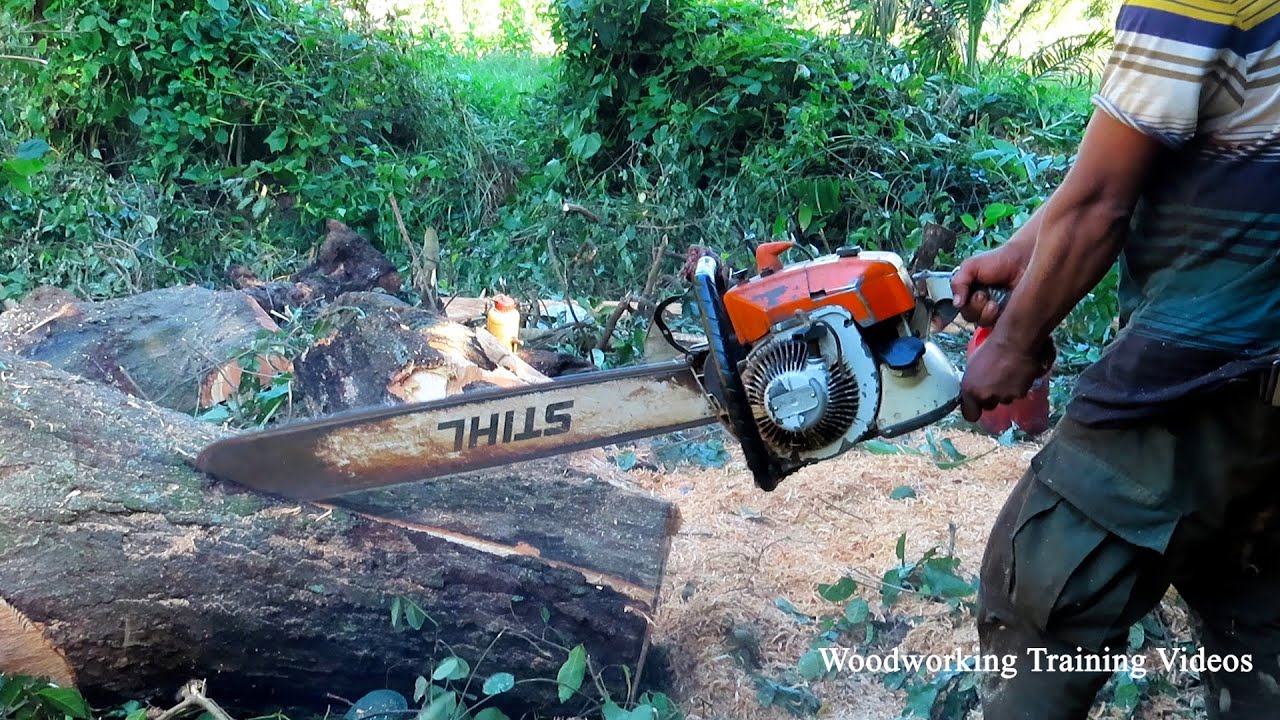 Woodworking Cutting Quickly And Easily! Tree Cutting In Indonesia ...