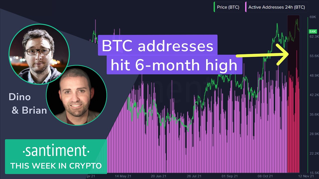 BTC network activity soars - can it continue? (This Week in Crypto ...