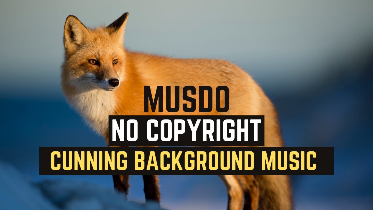 Cunning Background Music || No Copyright Music || Free Music - YouTube