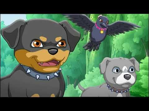 Moji džepni ljubimci epizoda 23- skoro (1.deo) - YouTube