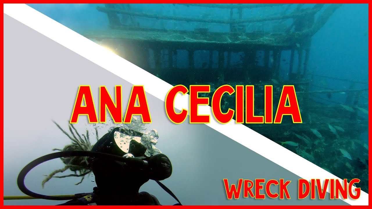 Wreck Diving on the Ana Cecilia in West Palm Beach, FL | Scuba Diving ...