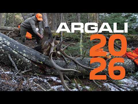 2026 ARGALI FILM TRAILER 4K