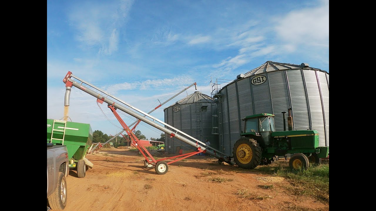 Farm grown Whitetail Deer Corn - YouTube