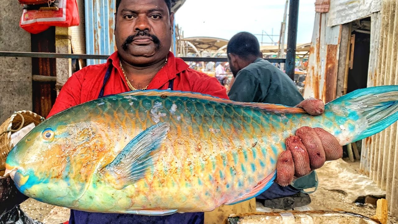 KASIMEDU 🔥 SPEED SELVAM | VERY RARE PARROT FISH CUTTING VIDEO | 4K ...