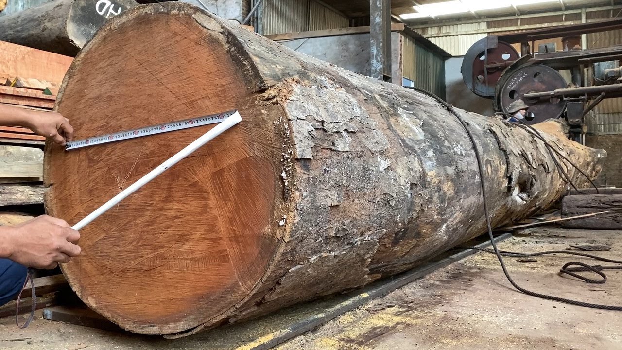 Wood Cutting Factory Operating at Full Capacity - Giant Wood Sawing ...