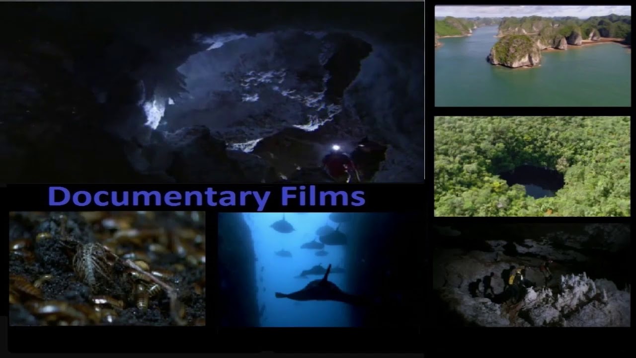 Documentary Films | Planet Earth Part 4 Caves (3/3) - YouTube