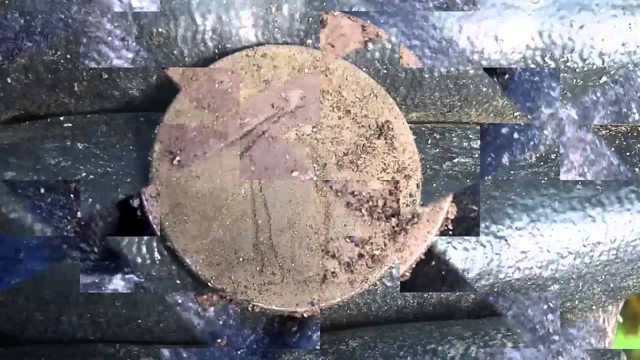 Metal Detecting #71...Standing Liberty Quarter, Complete Harmonica Reed ...