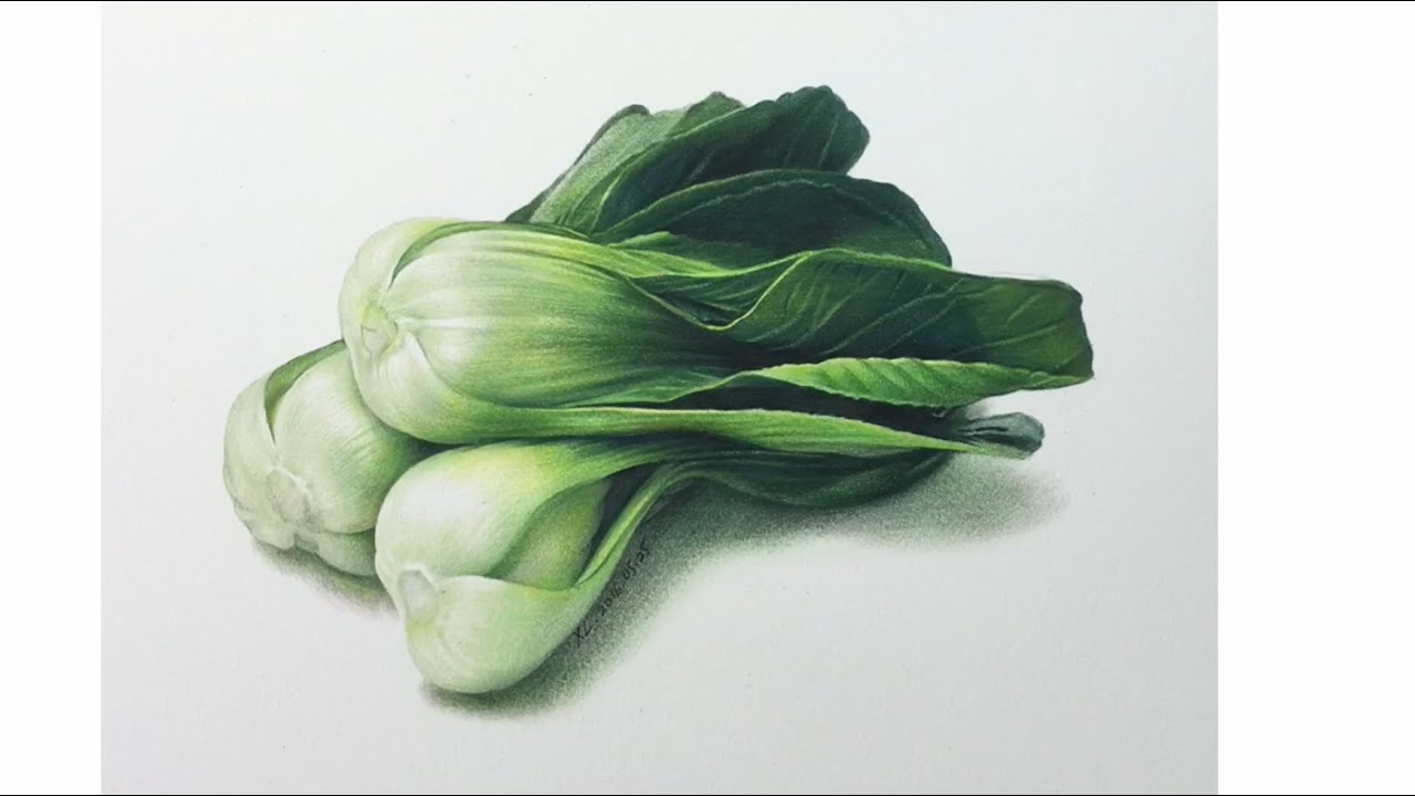 Step by Step Colored Pencil Guide Drawing Green Vegetables - YouTube