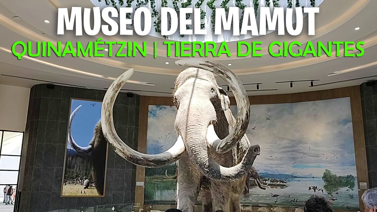 Conoce el Museo del #Mamut #Quinamétzin | Museo Paleontólogico de Santa ...