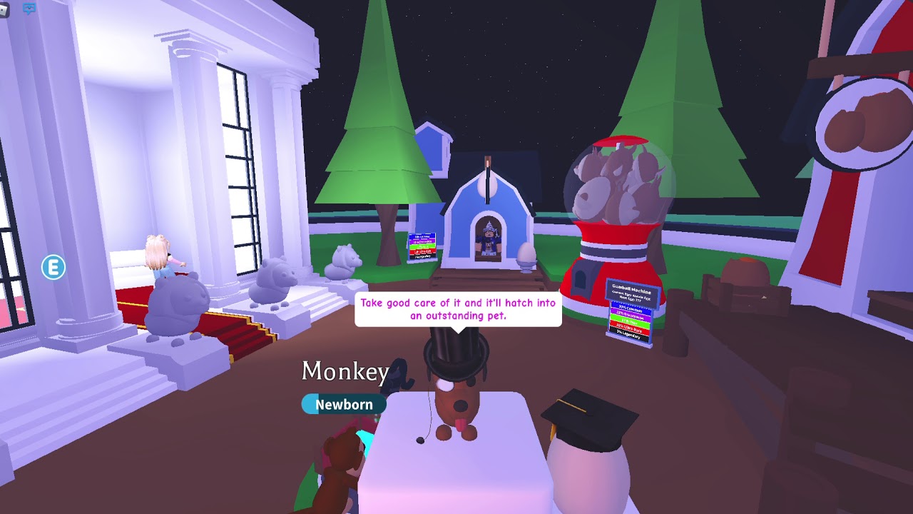 roblox adopt me EEN NIEUW ACC???? - YouTube