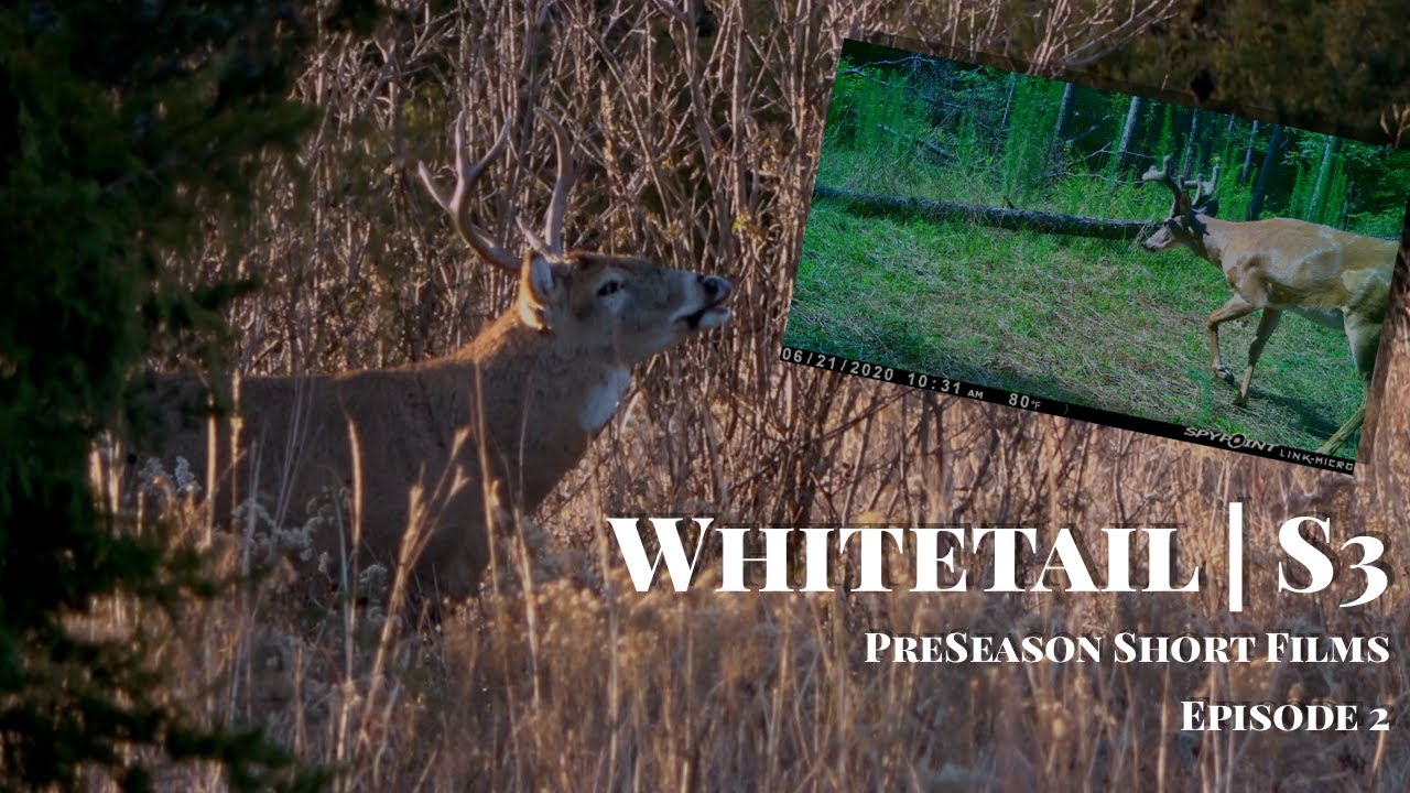 Whitetail S3 | Short Film | Ep 2 * The Kansas Bully Buck * - YouTube