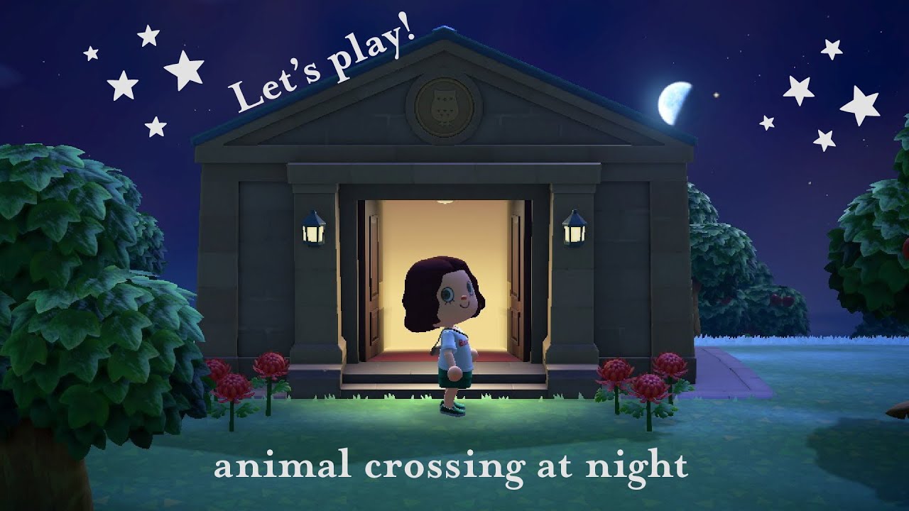 Animal Crossing Nighttime Game Play | Nintendo Switch Lite ♡ - YouTube