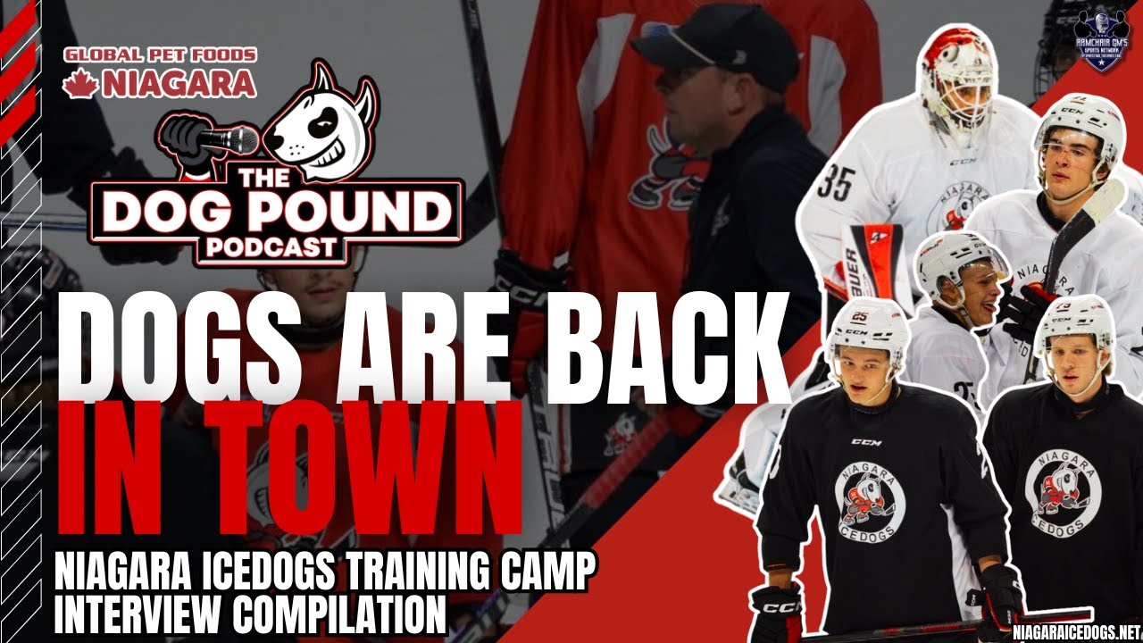 TRAINING CAMP BEGINS FOR THE NIAGARA ICEDOGS 2024-25 SEASON - Dog Pound ...