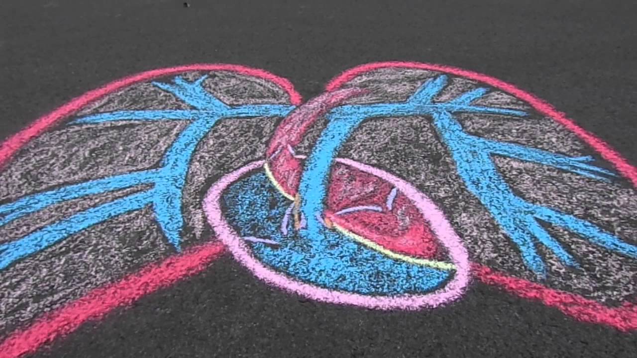 "Pathophysiology", Heart Failure - YouTube
