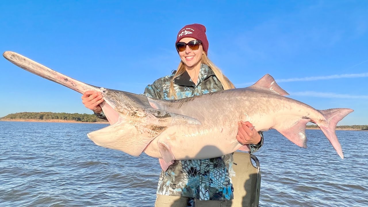 How to Catch Paddle Fish in Oklahoma! (Spoon Bill) Catch, Clean & Cook ...